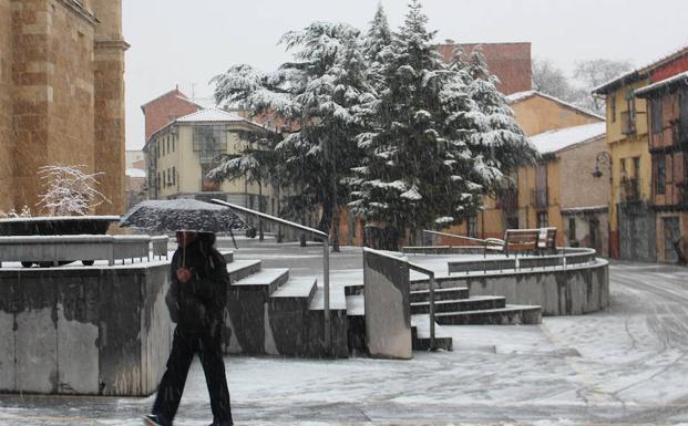 Las mejores imágenes de León capital bajo la nieve | leonoticias