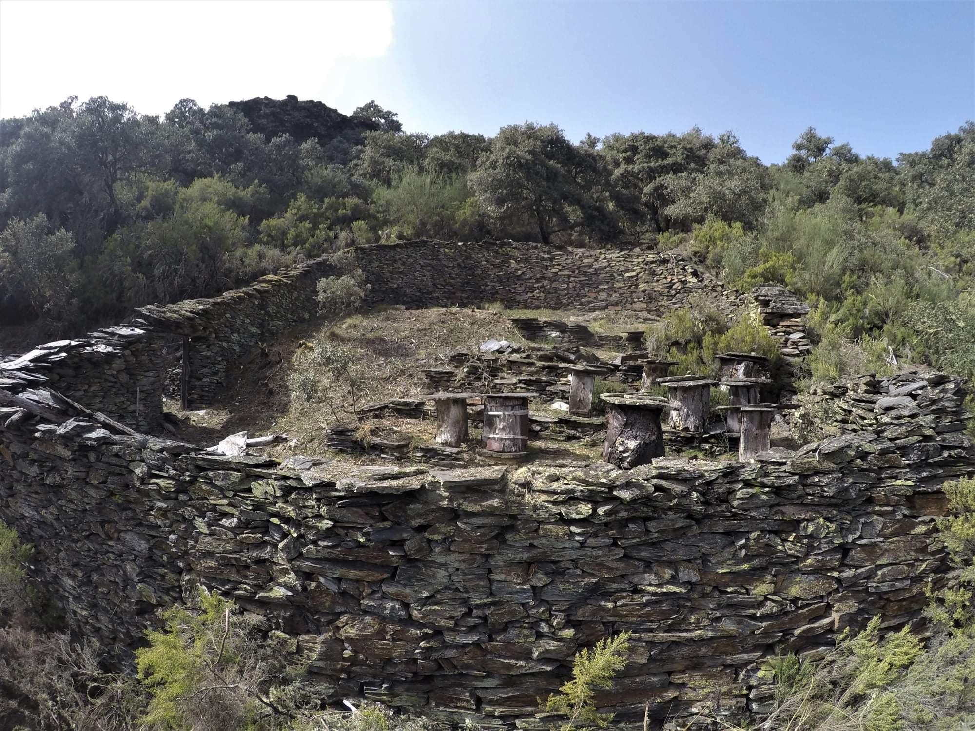 Fotos: Cortines de Fonfría | leonoticias
